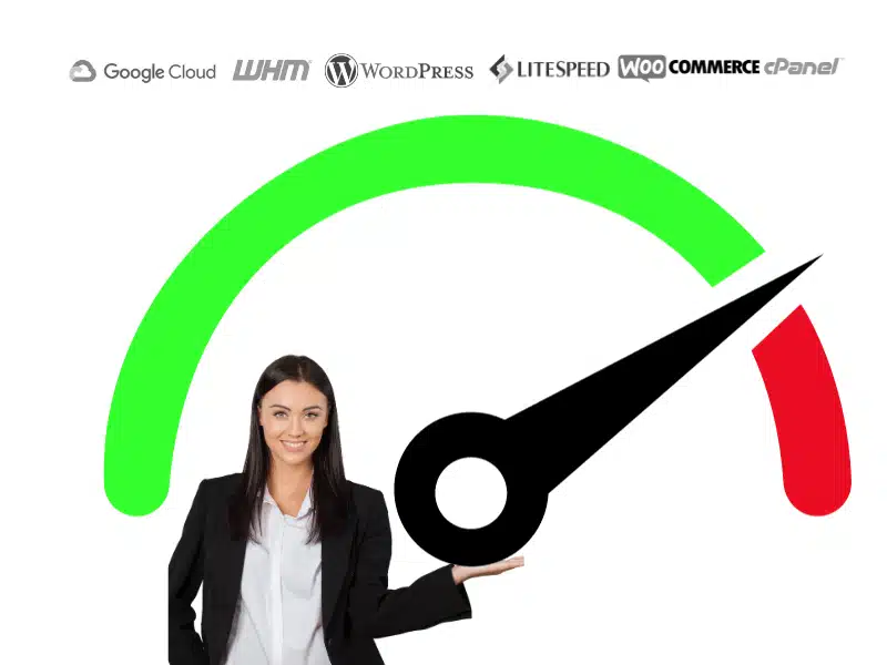 Google Page Speed